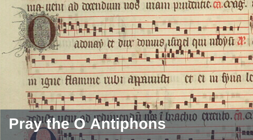 Pray the O Antiphons